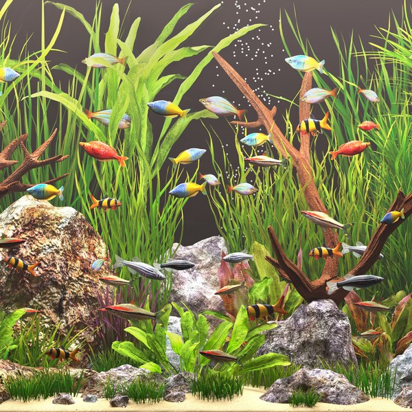 Aquarium 3D model - TurboSquid 1739659
