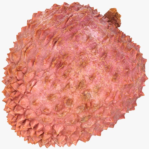Lychee 3D Models for Download | TurboSquid