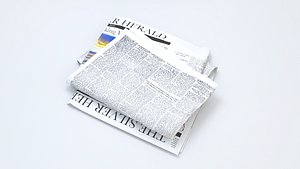 3D Used and Discarded Bundle of Newspapers with Texture model model ...