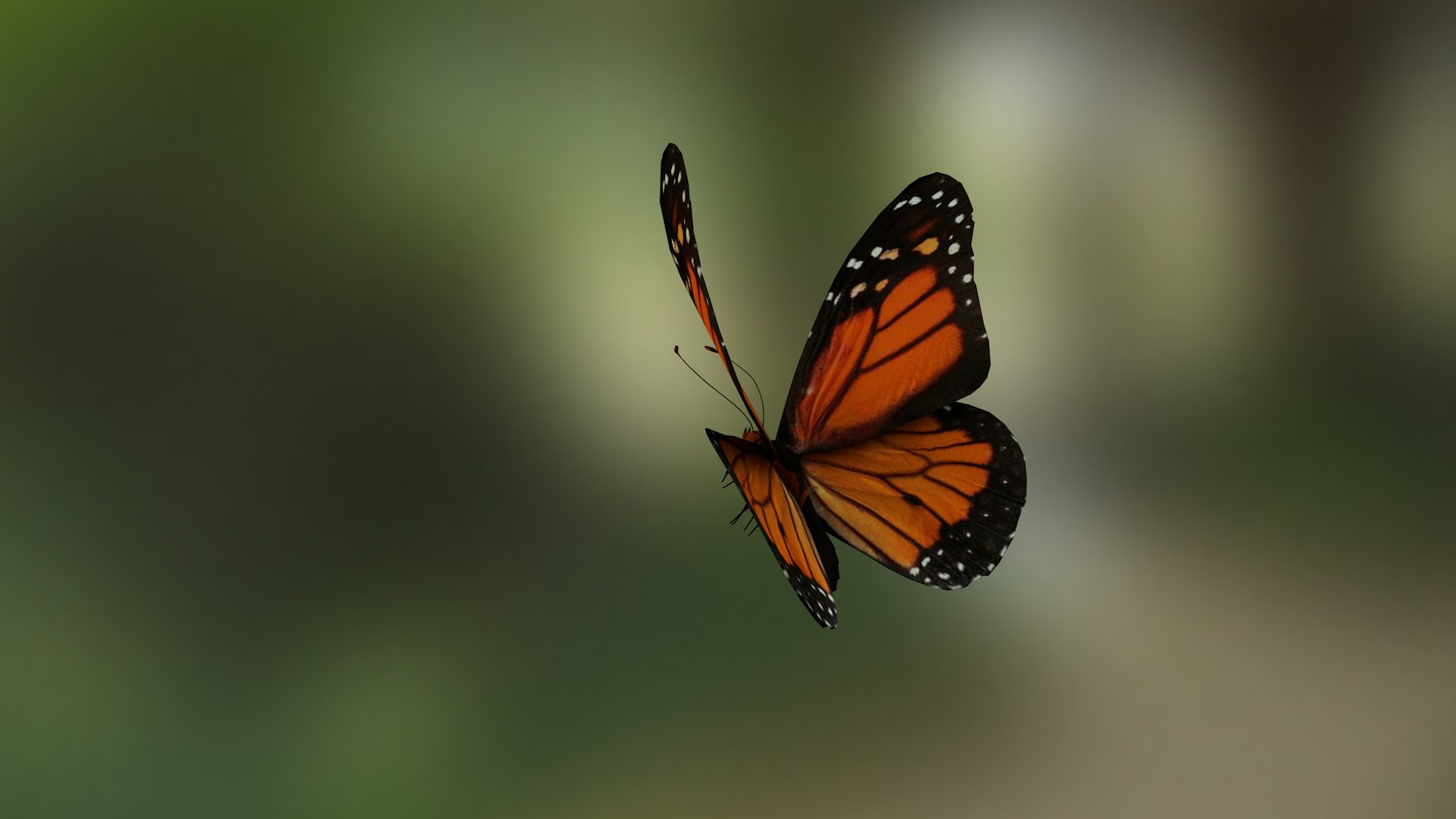 3D Colorful Monarch Butterfly 3D Animation - TurboSquid 2028625