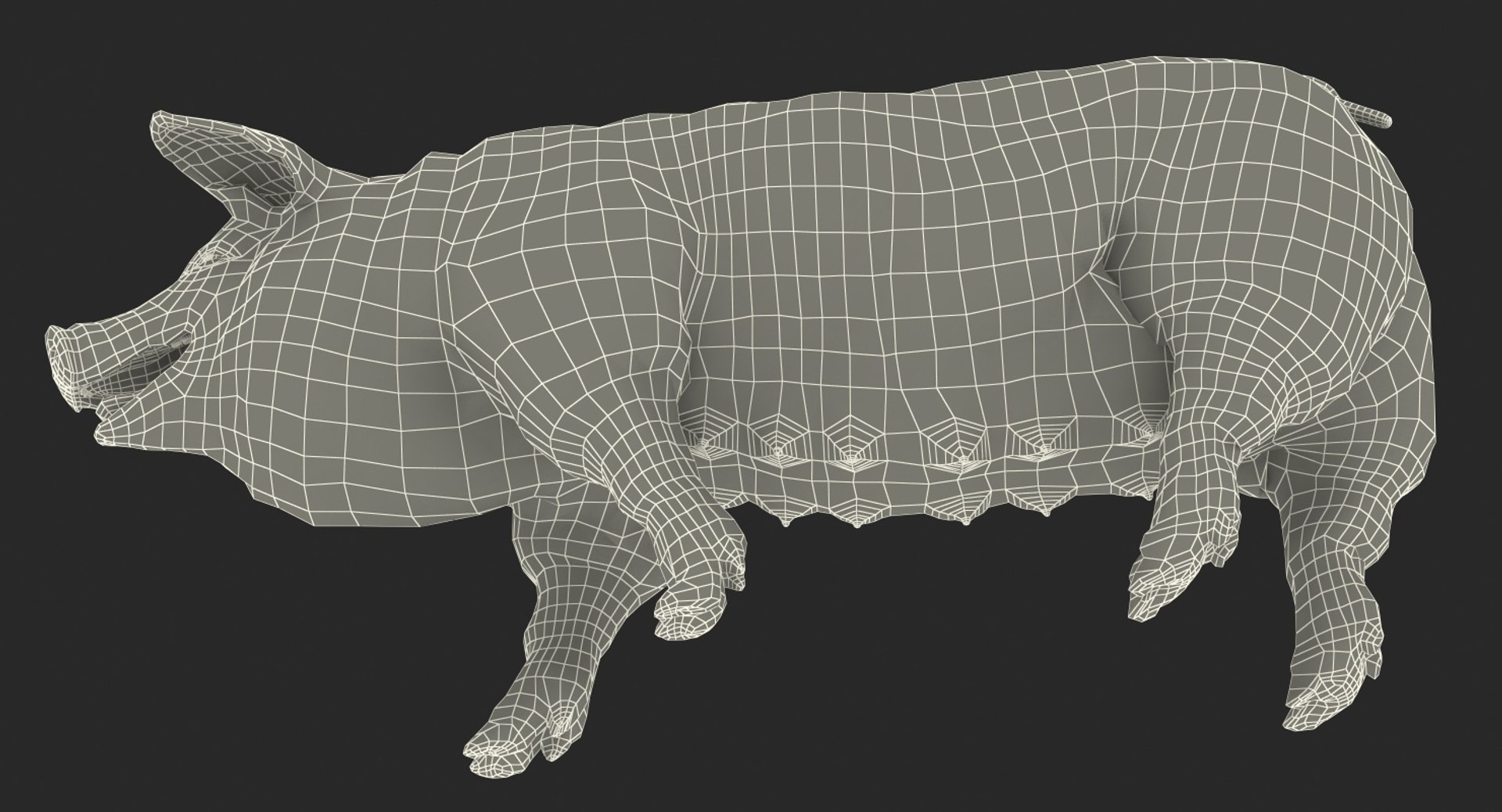 Pig Sow Peitrain Walking 3D Model - TurboSquid 1370934