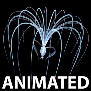 Animated And Rigged 3D How To Make Canva Ai Talking Avatar For Free ...