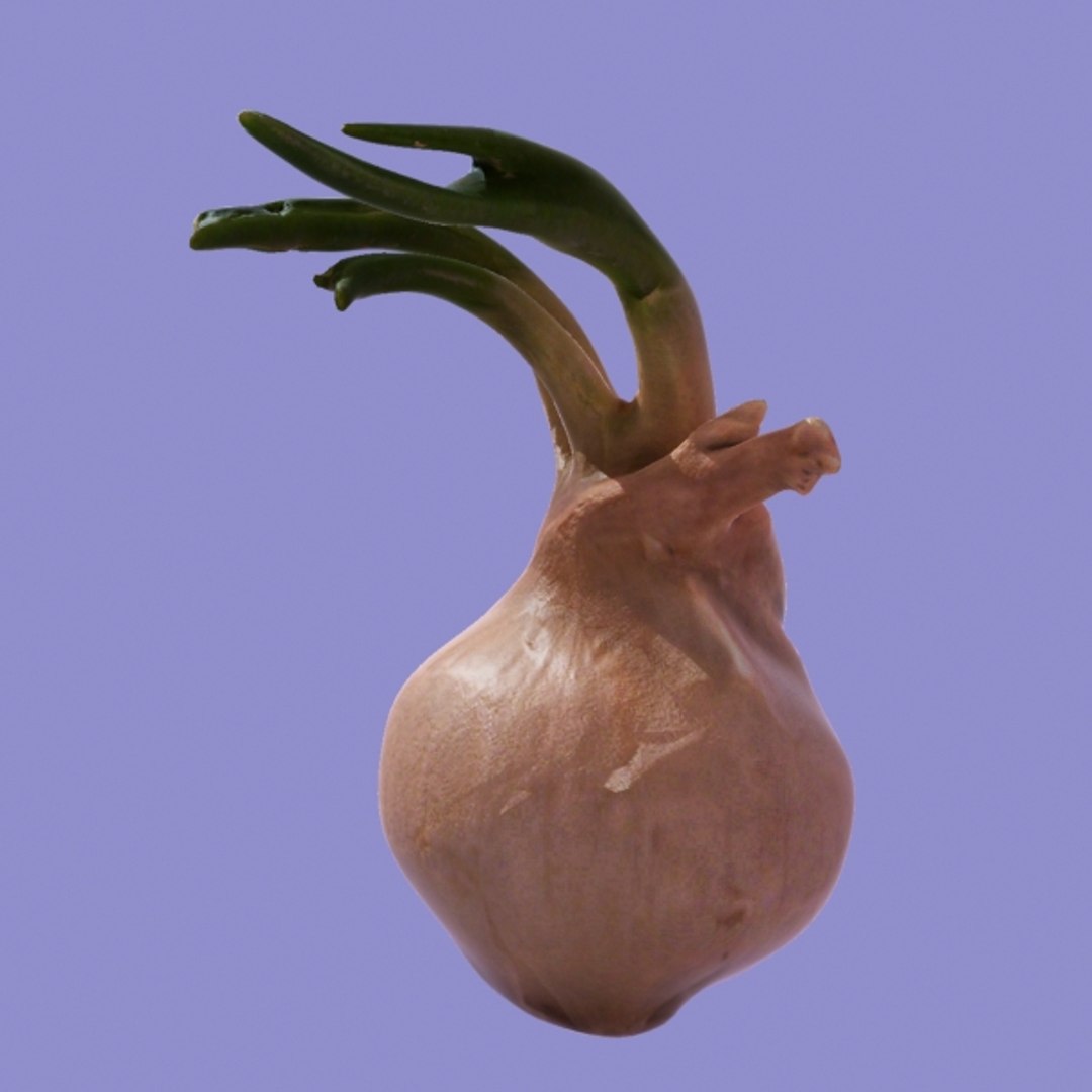 Max Garlic