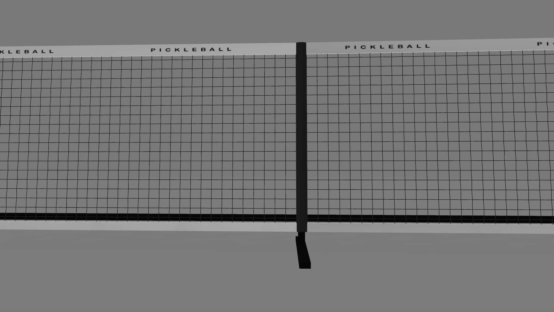 3D Pickleball Net Model - TurboSquid 2173153