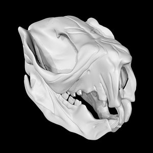Animal Skull STL Models for Download | TurboSquid