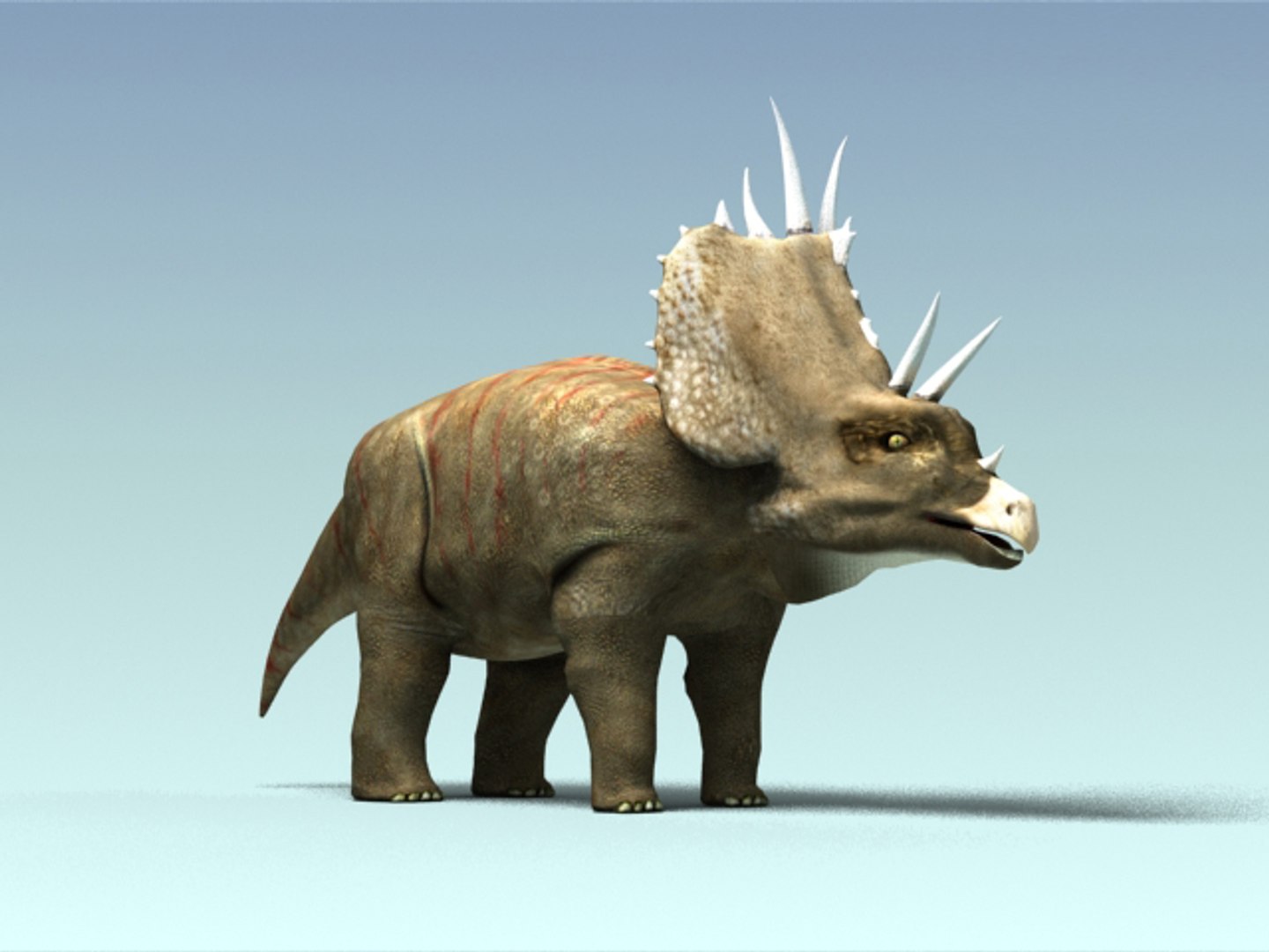 triceratops dinosaur 3d model