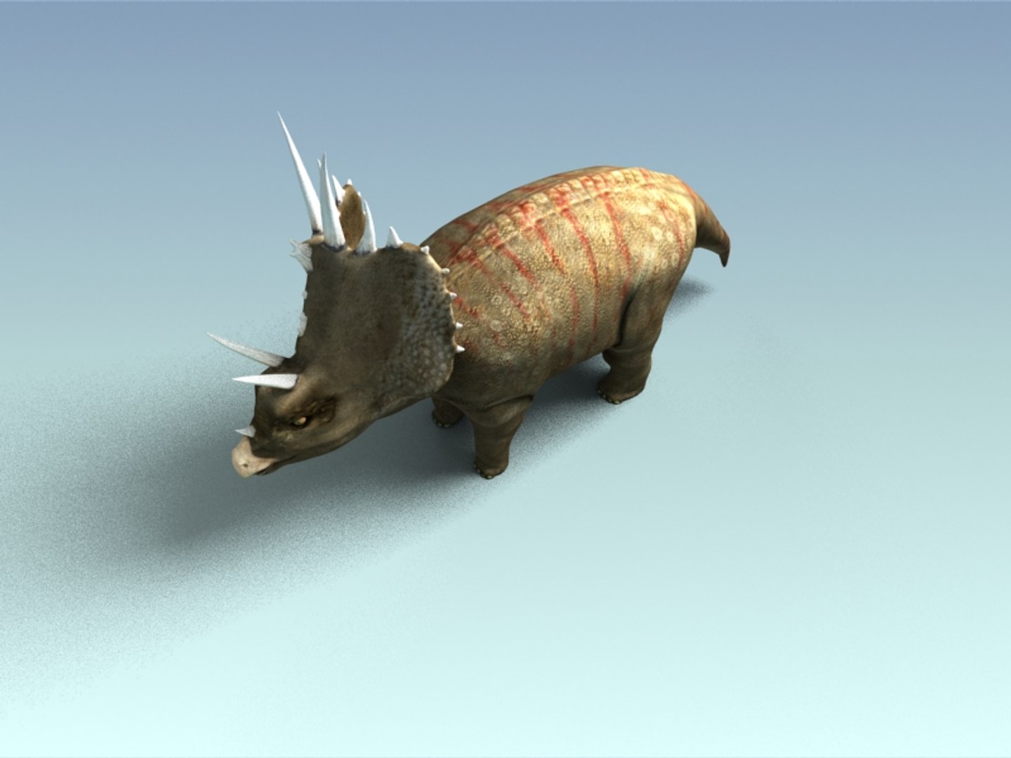 triceratops dinosaur 3d model
