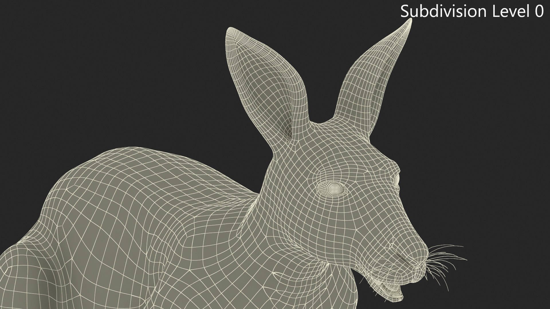 Kangaroo Animated Rigged 3D - TurboSquid 2325571
