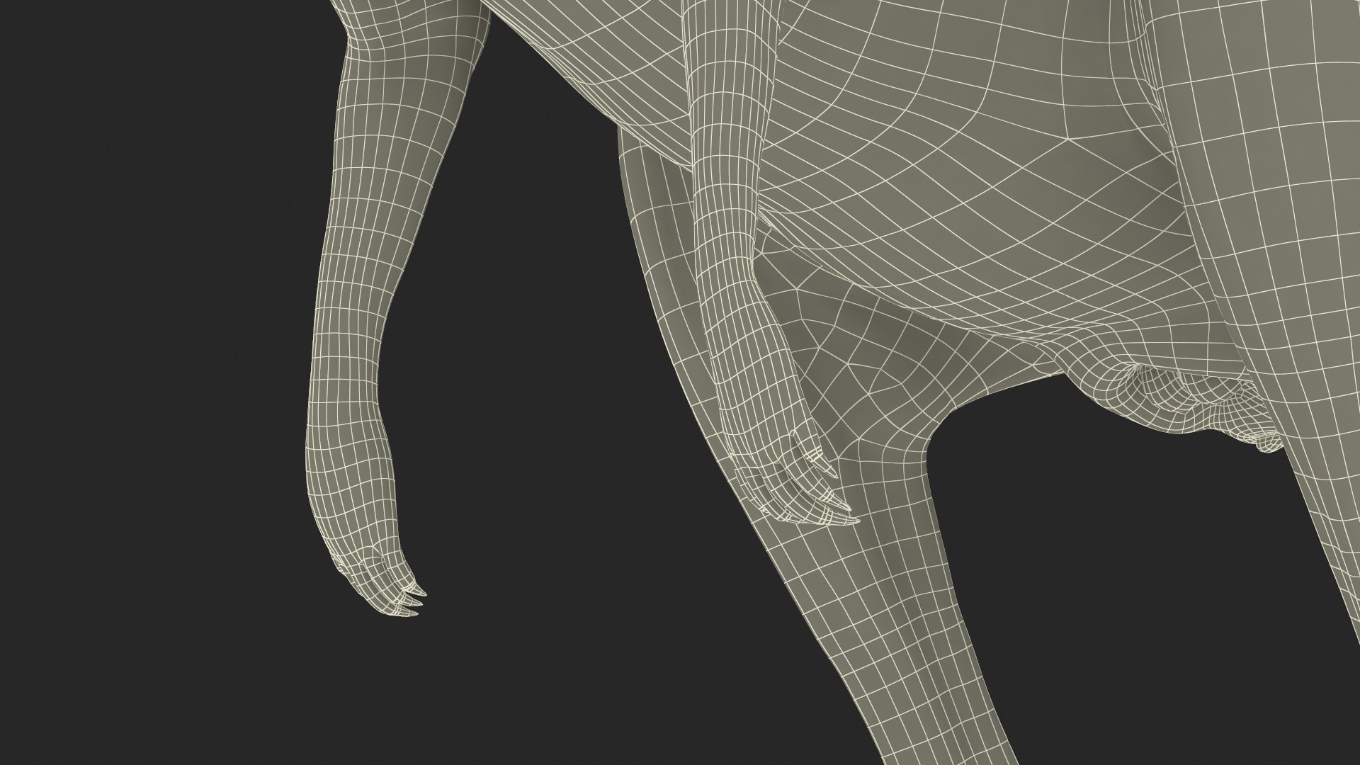 Kangaroo Animated Rigged 3D - TurboSquid 2325571