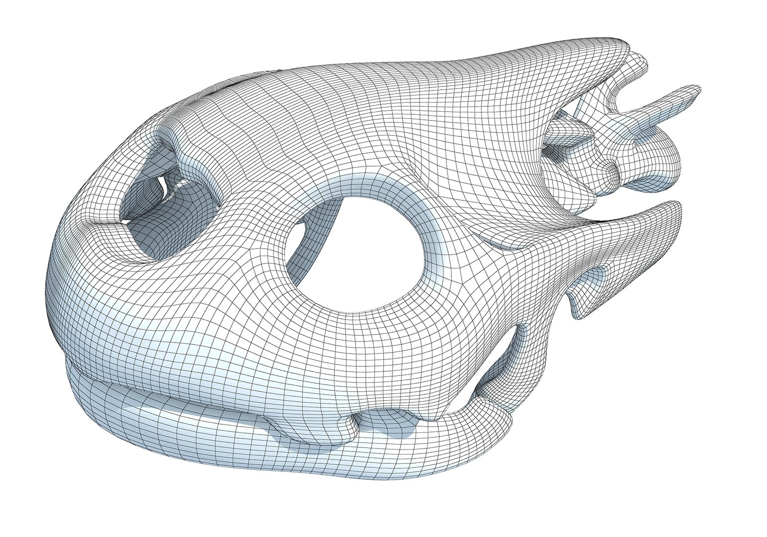 Turtle Skull Skeleton 3D Model - TurboSquid 1236116