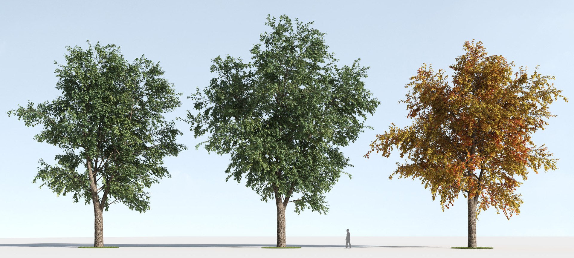 Trees 6 3D - TurboSquid 1349221