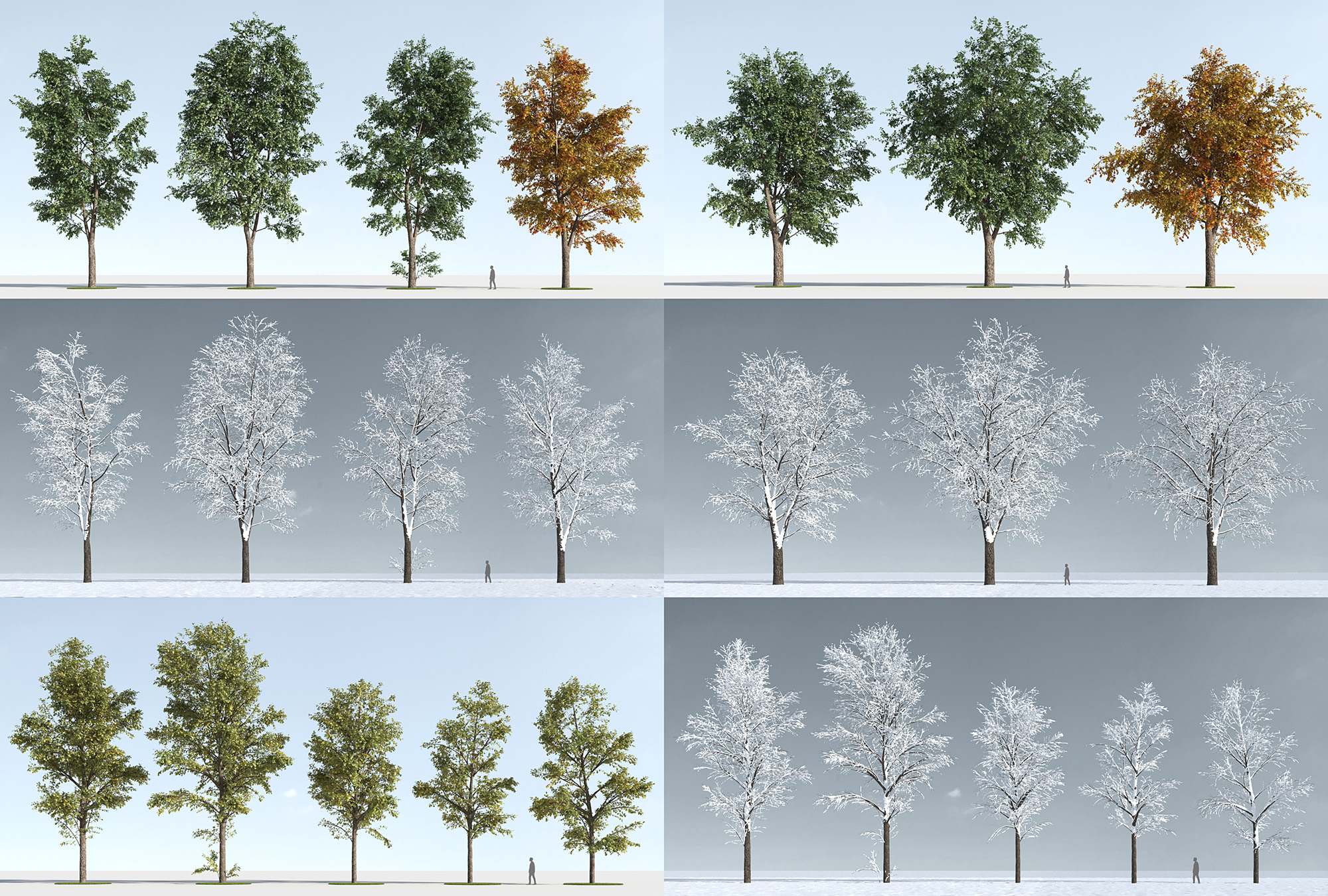 Trees 6 3D - TurboSquid 1349221