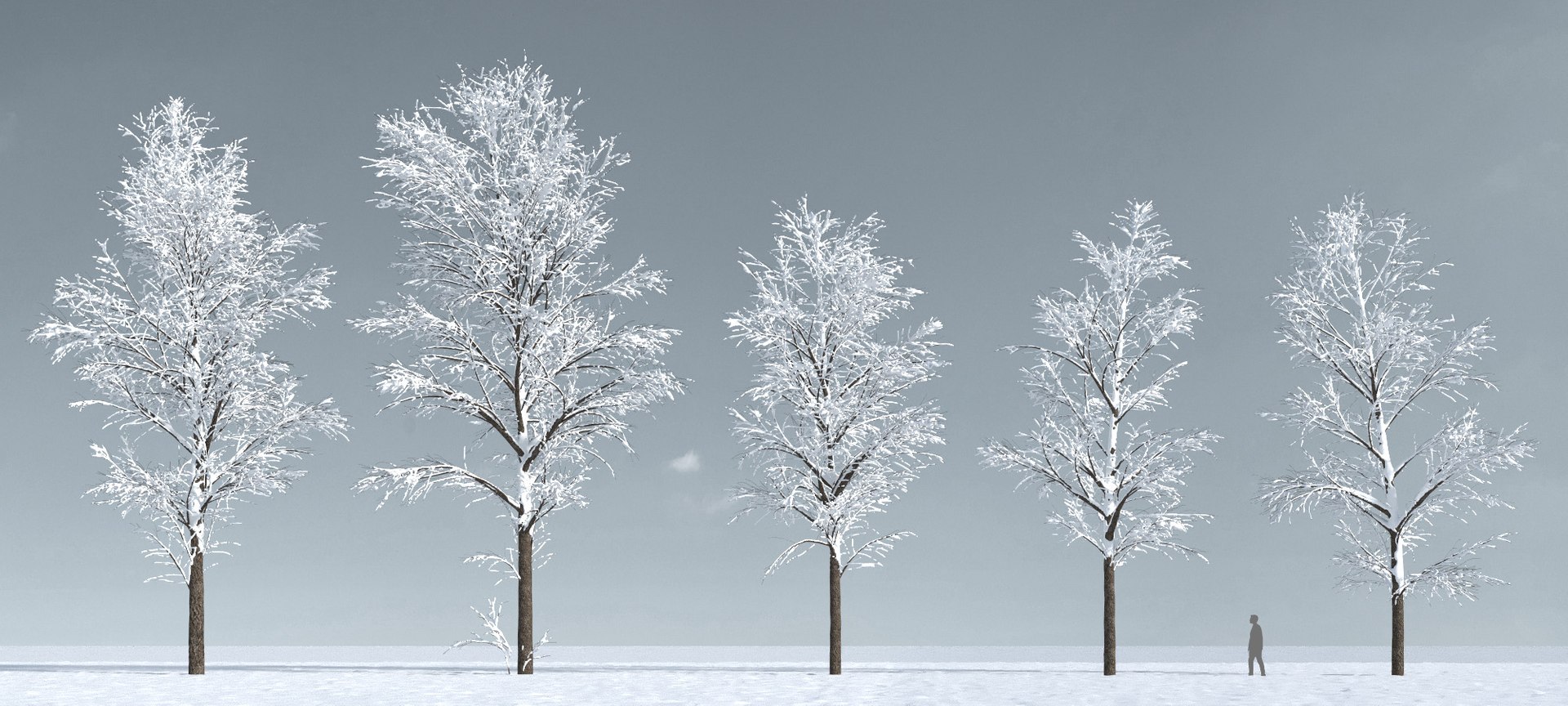 Trees 6 3D - TurboSquid 1349221