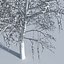 Trees 6 3D - TurboSquid 1349221