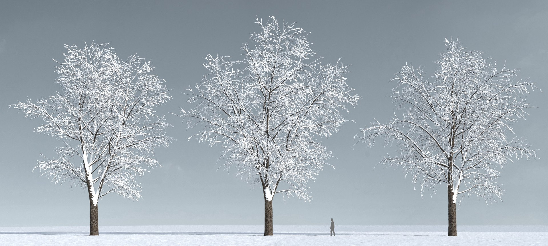 Trees 6 3D - TurboSquid 1349221