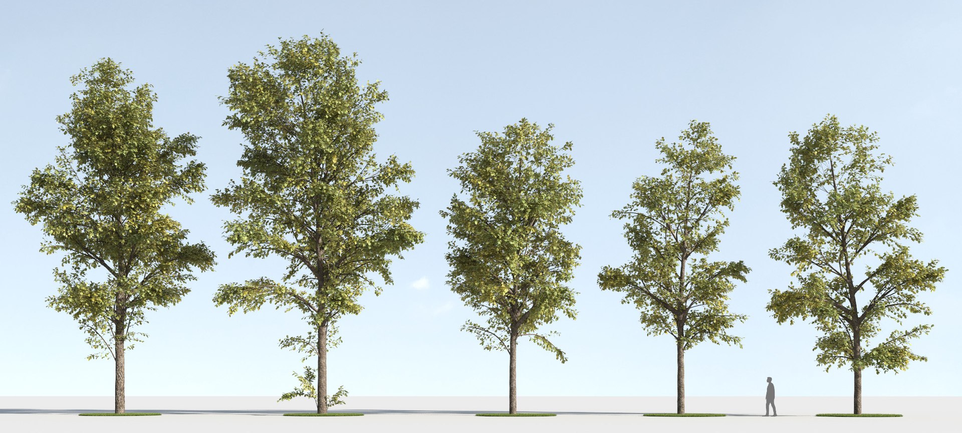 Trees 6 3D - TurboSquid 1349221