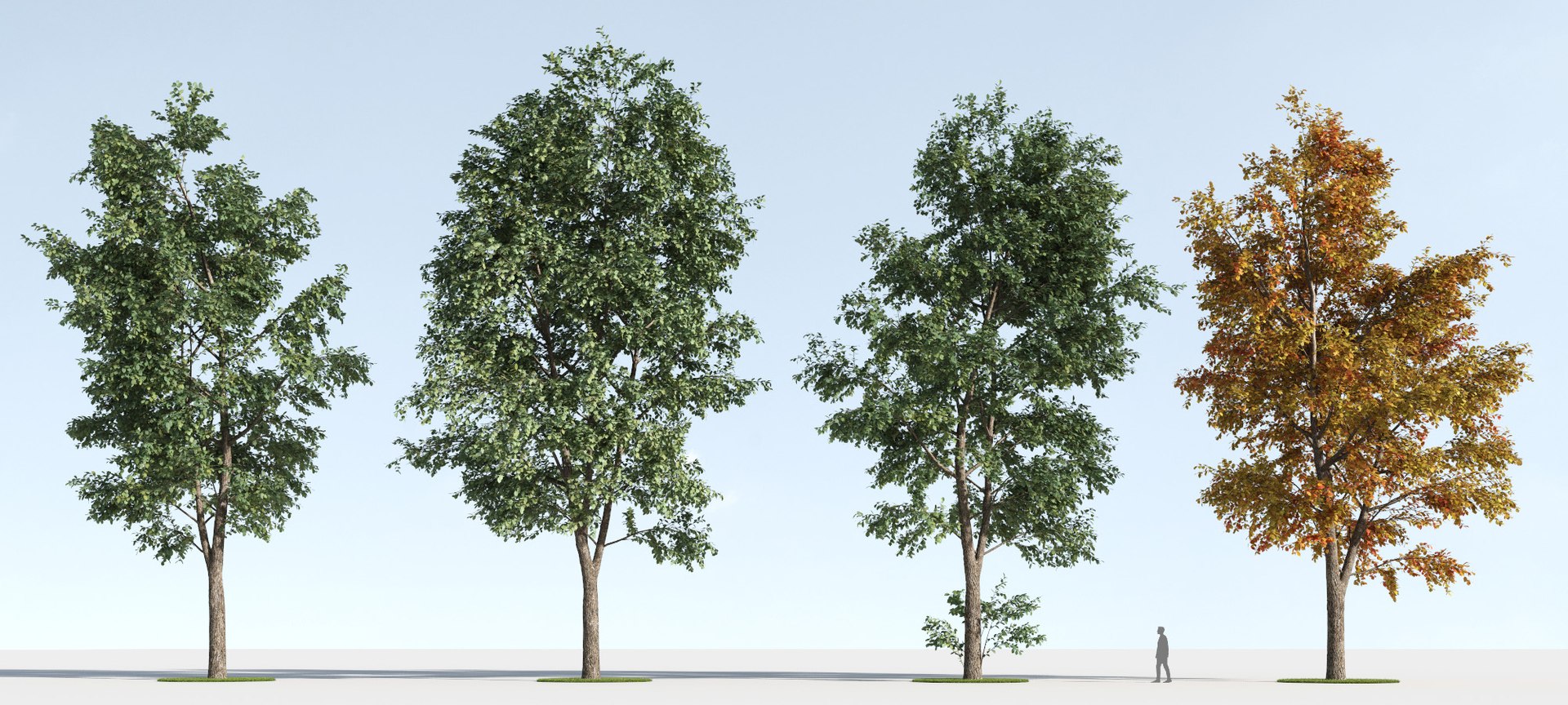 Trees 6 3D - TurboSquid 1349221