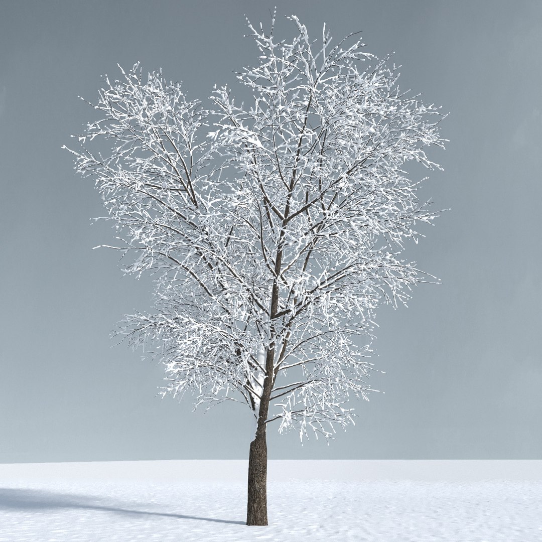 Trees 6 3D - TurboSquid 1349221