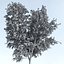 Trees 6 3D - TurboSquid 1349221