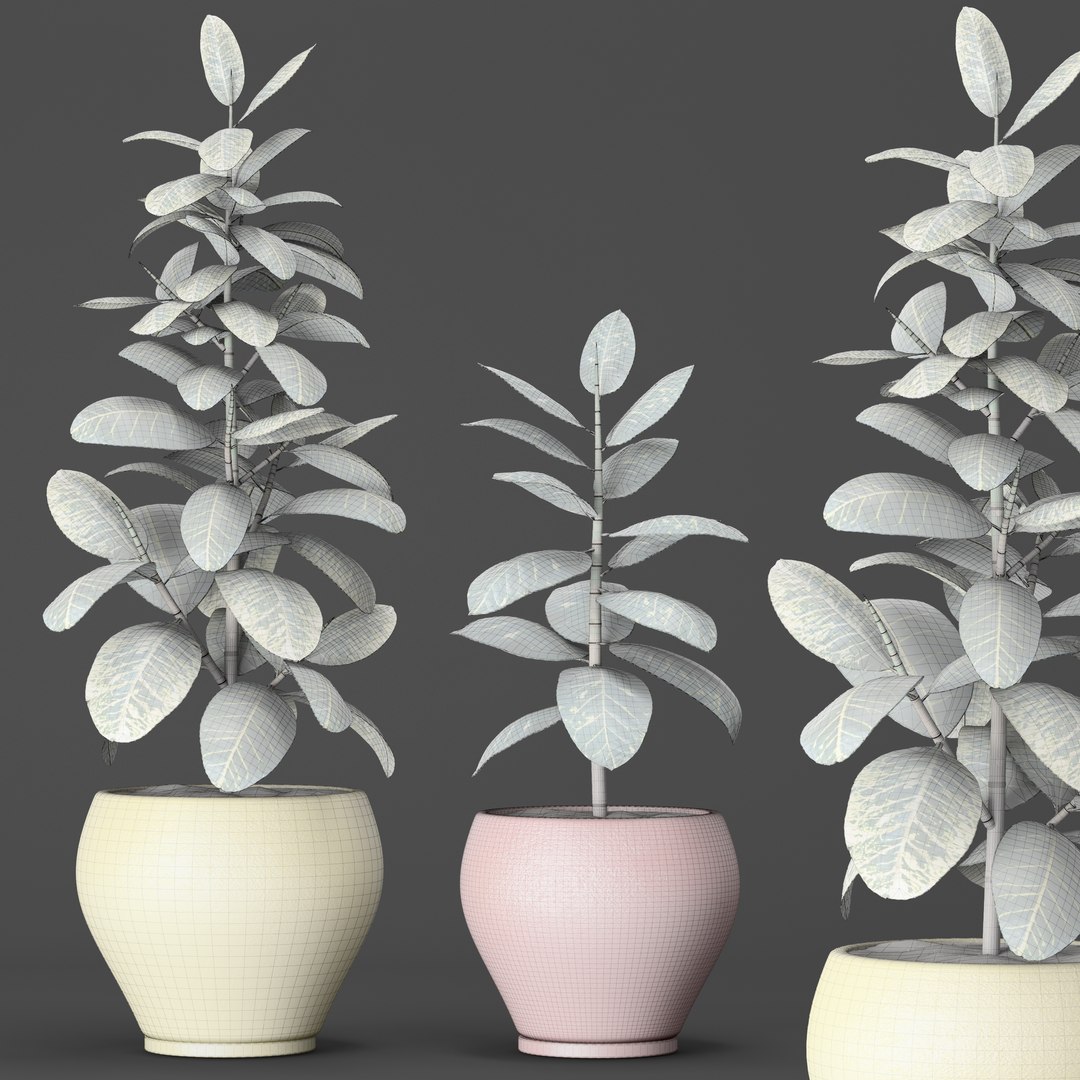 Plants 3d Max
