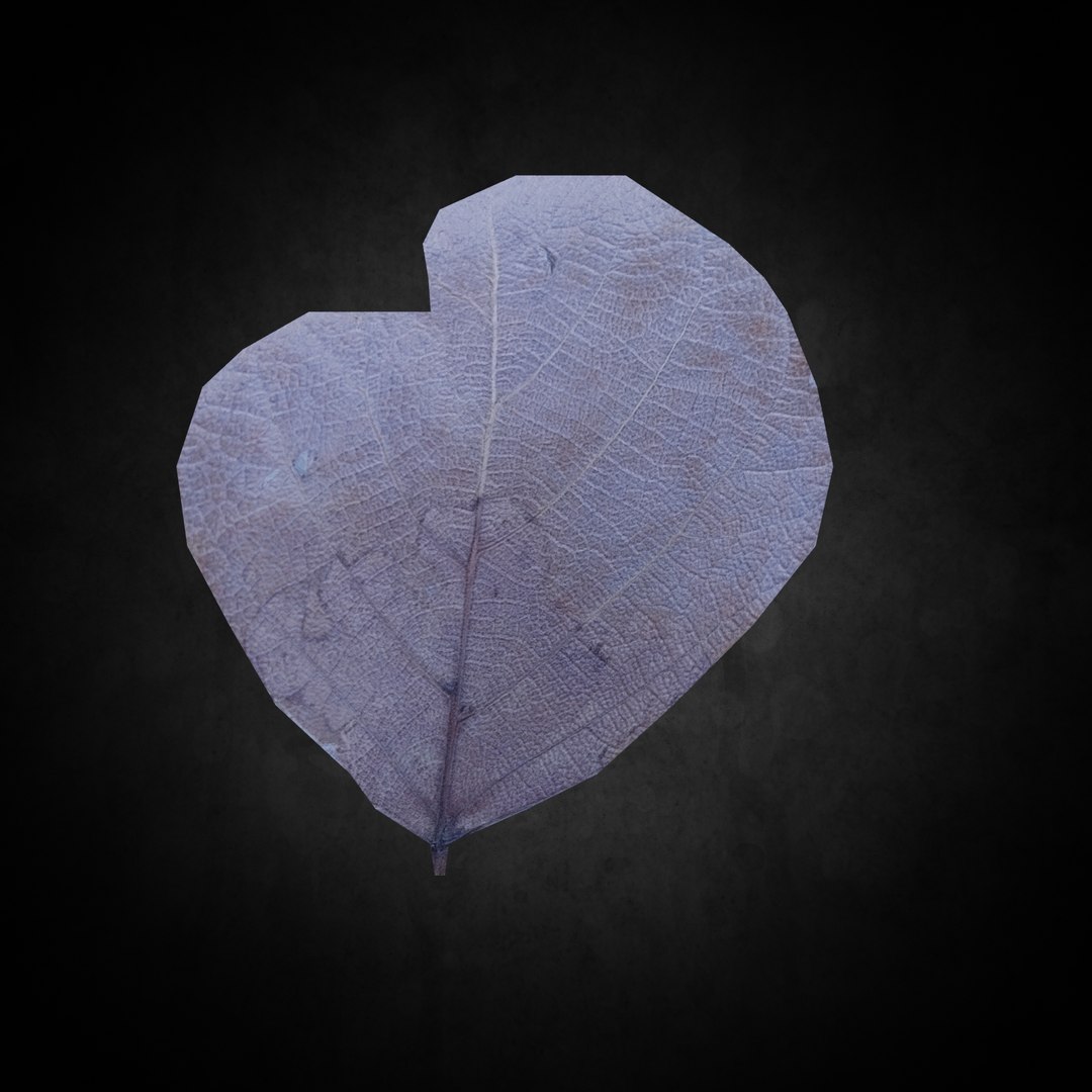 Low Poly Leaf 036 3D Model - TurboSquid 1852387