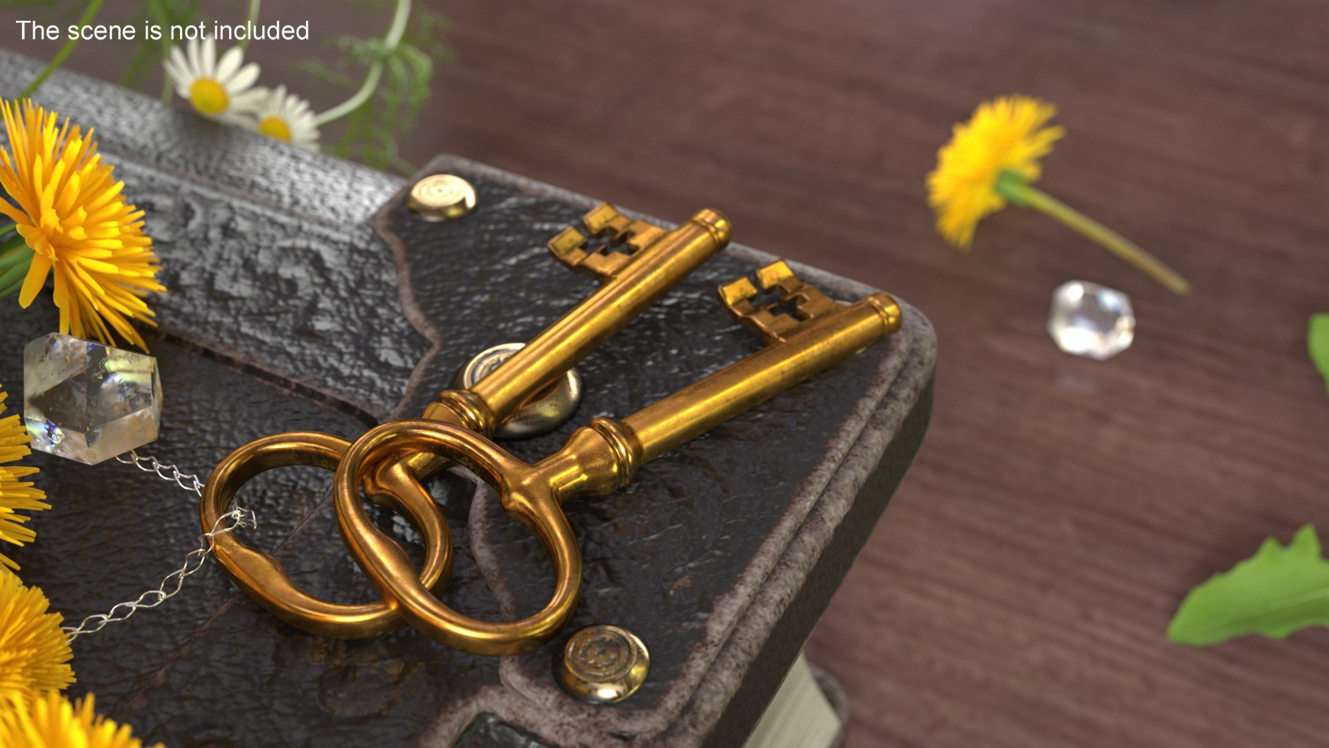 Classic Skeleton Key Gold 3D Model - TurboSquid 2244926