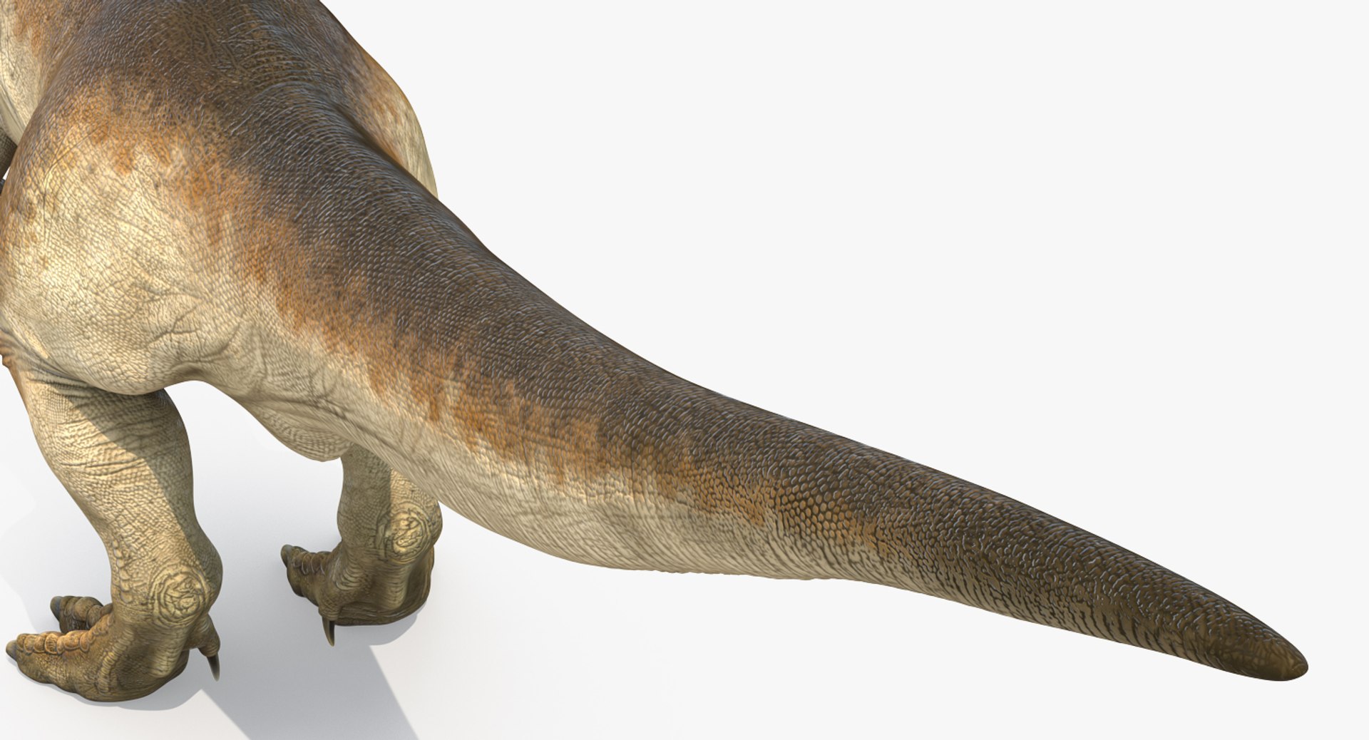 3d model tyrannosaurus rex
