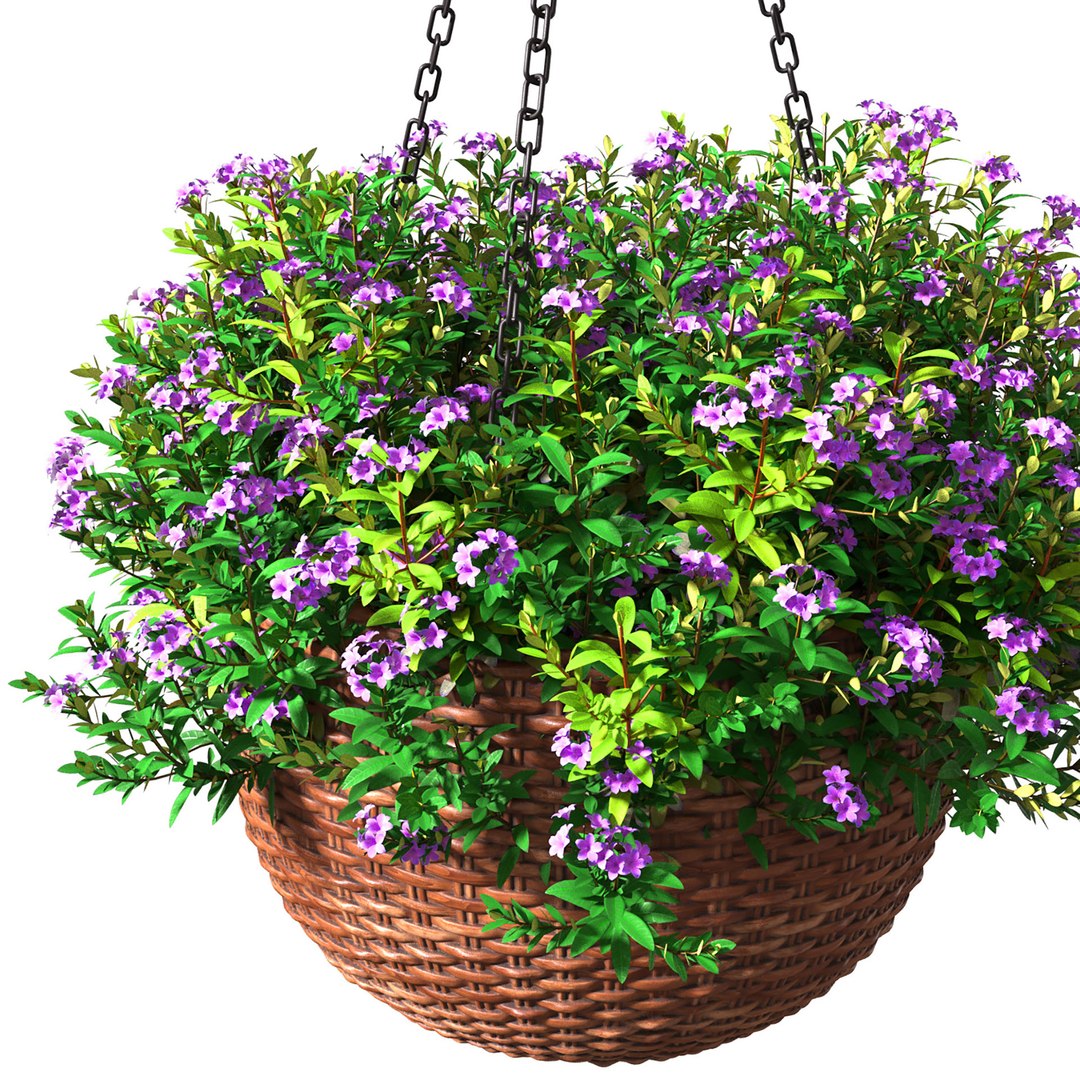 Hanging basket flowerpot rattan pot with flowers 3D model - TurboSquid ...