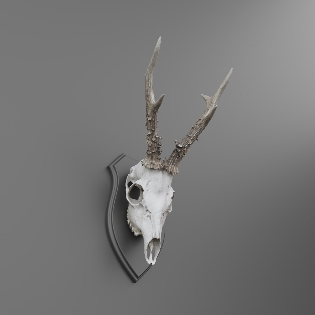 Antler Red Deer 2 3D Model - TurboSquid 2037194