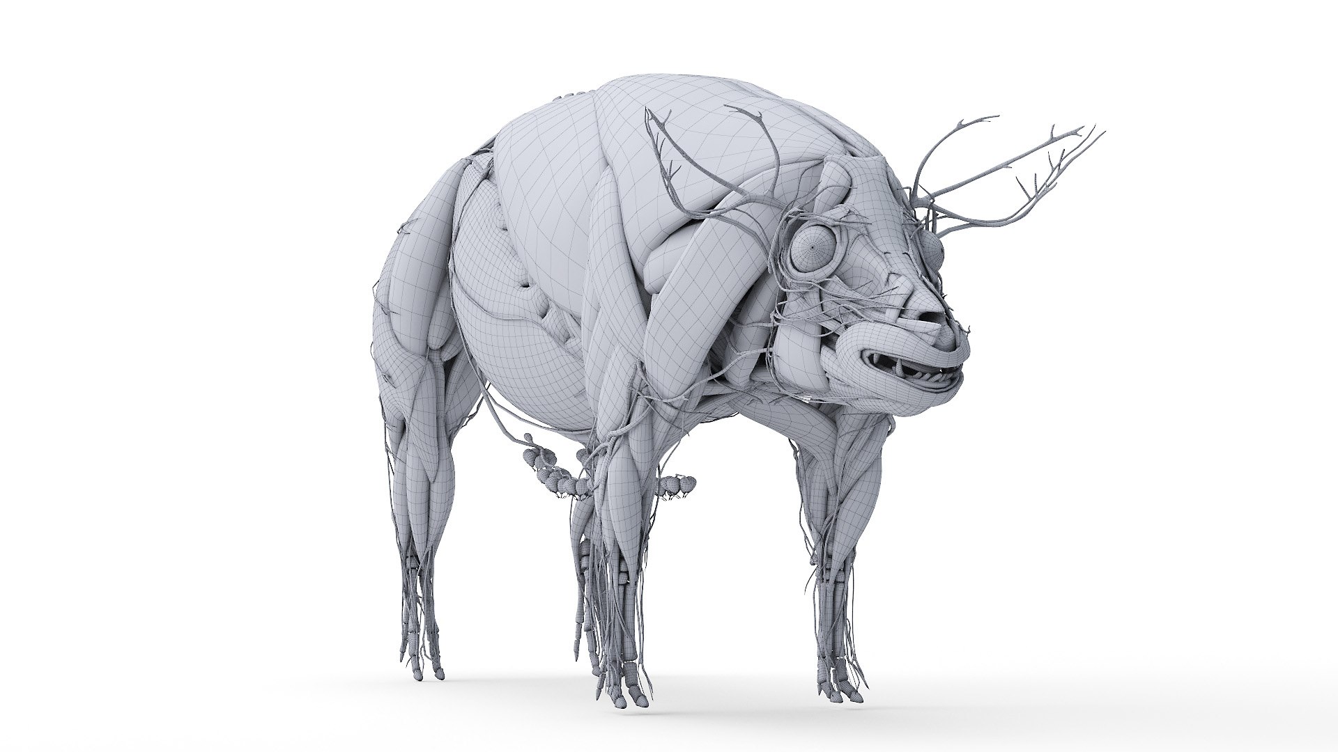 3D model Full Pig Anatomy Static - TurboSquid 1753654