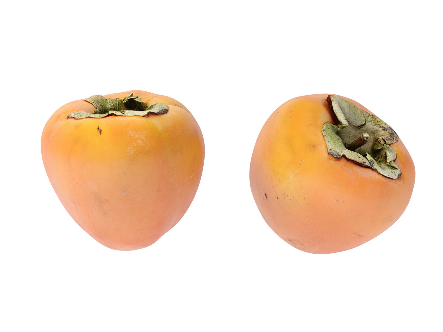 Persimmon Fruits Model - TurboSquid 2094351