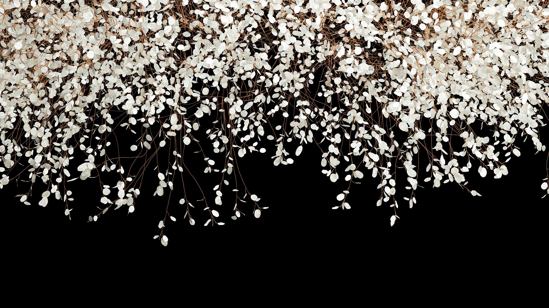 Hanging Installation Bouquet Dried Flowers Lunaria Branches 568 Model ...