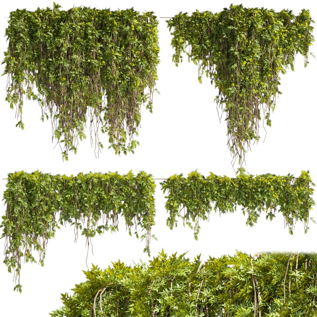 3D Collection Plant Vol 425 - Bush - Ivy - Outdoor - 3dmodel - Assorted ...