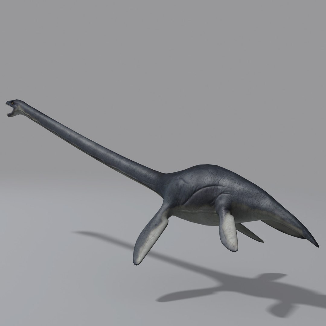 3d model marine elasmosaurus elasmosaur