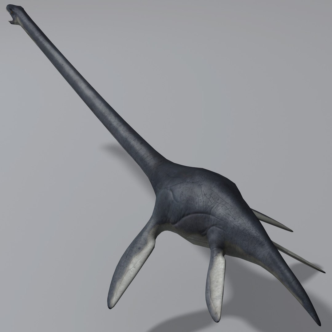 3d model marine elasmosaurus elasmosaur