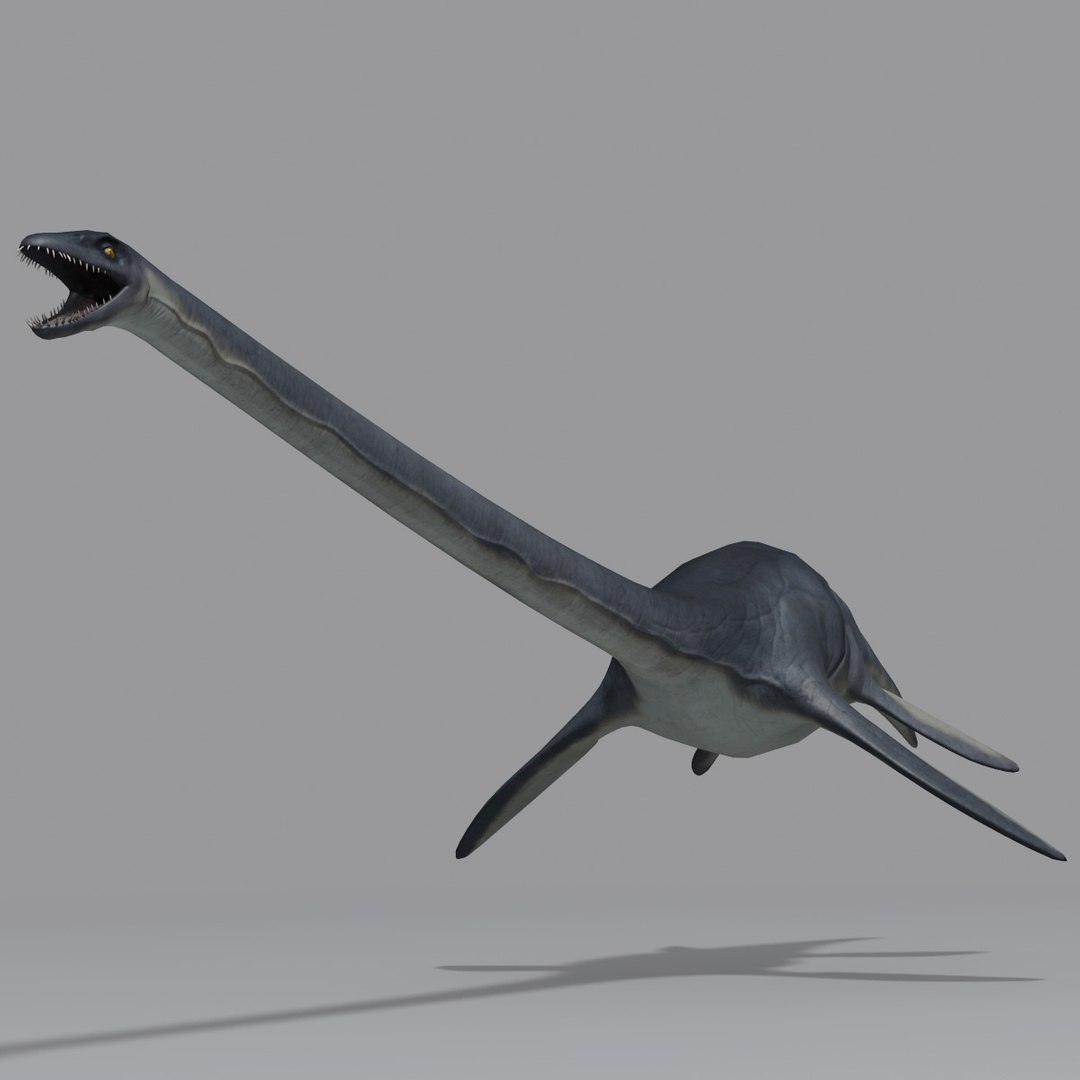 3d model marine elasmosaurus elasmosaur