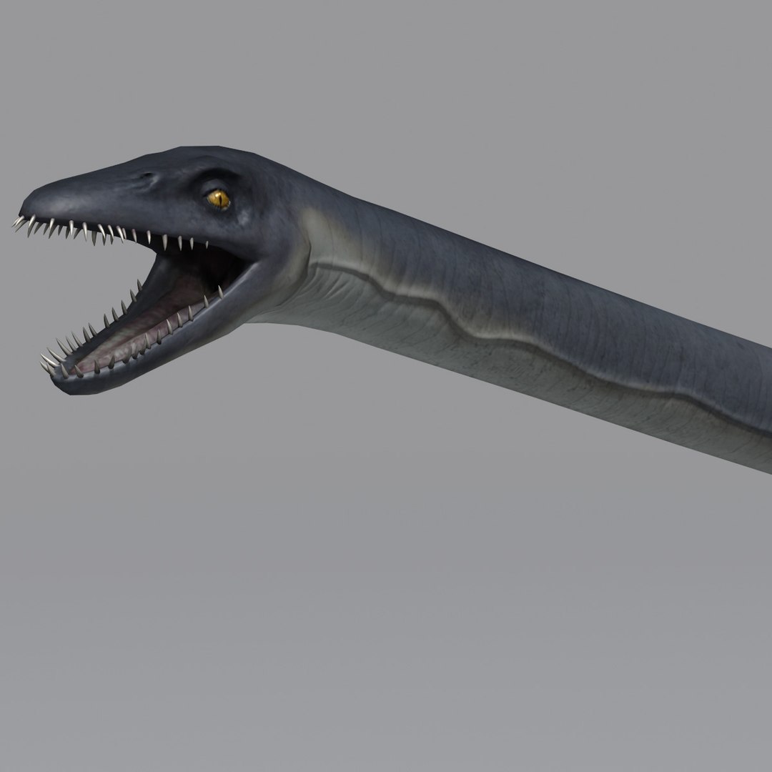 3d model marine elasmosaurus elasmosaur