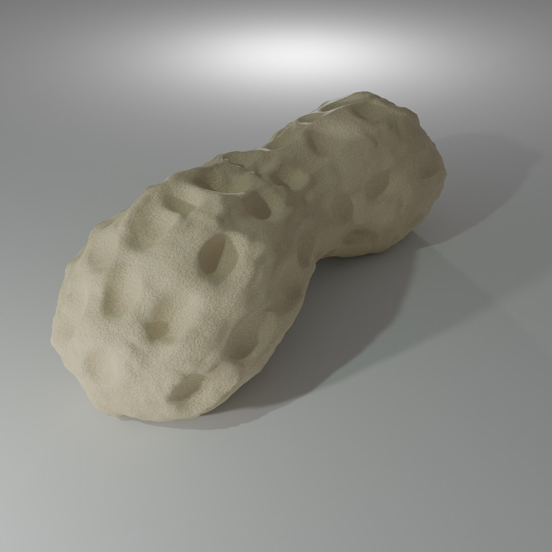 3D Peanut - TurboSquid 1960995