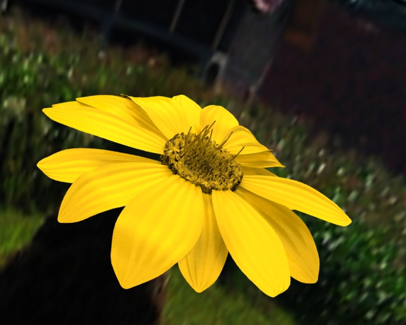 3ds max opened flower