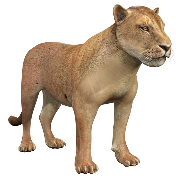 Lion Blender Models for Download | TurboSquid