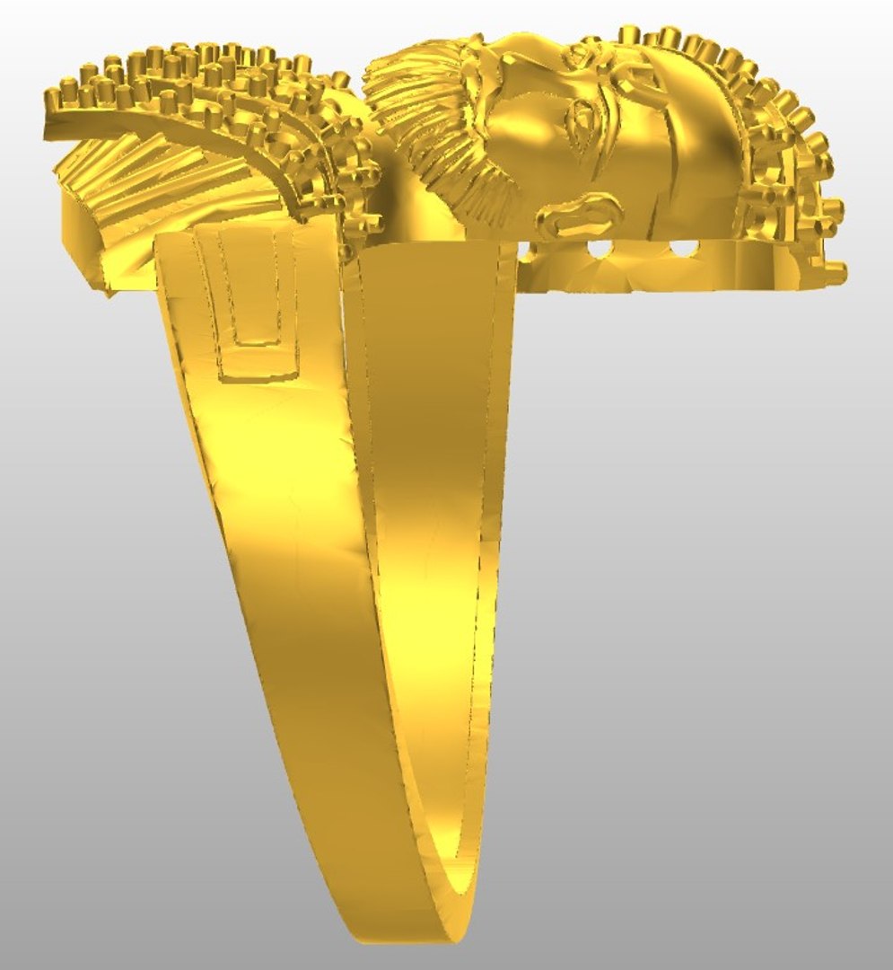 Chhatrapati Shivaji Maharaj Ring 3D - TurboSquid 1779611