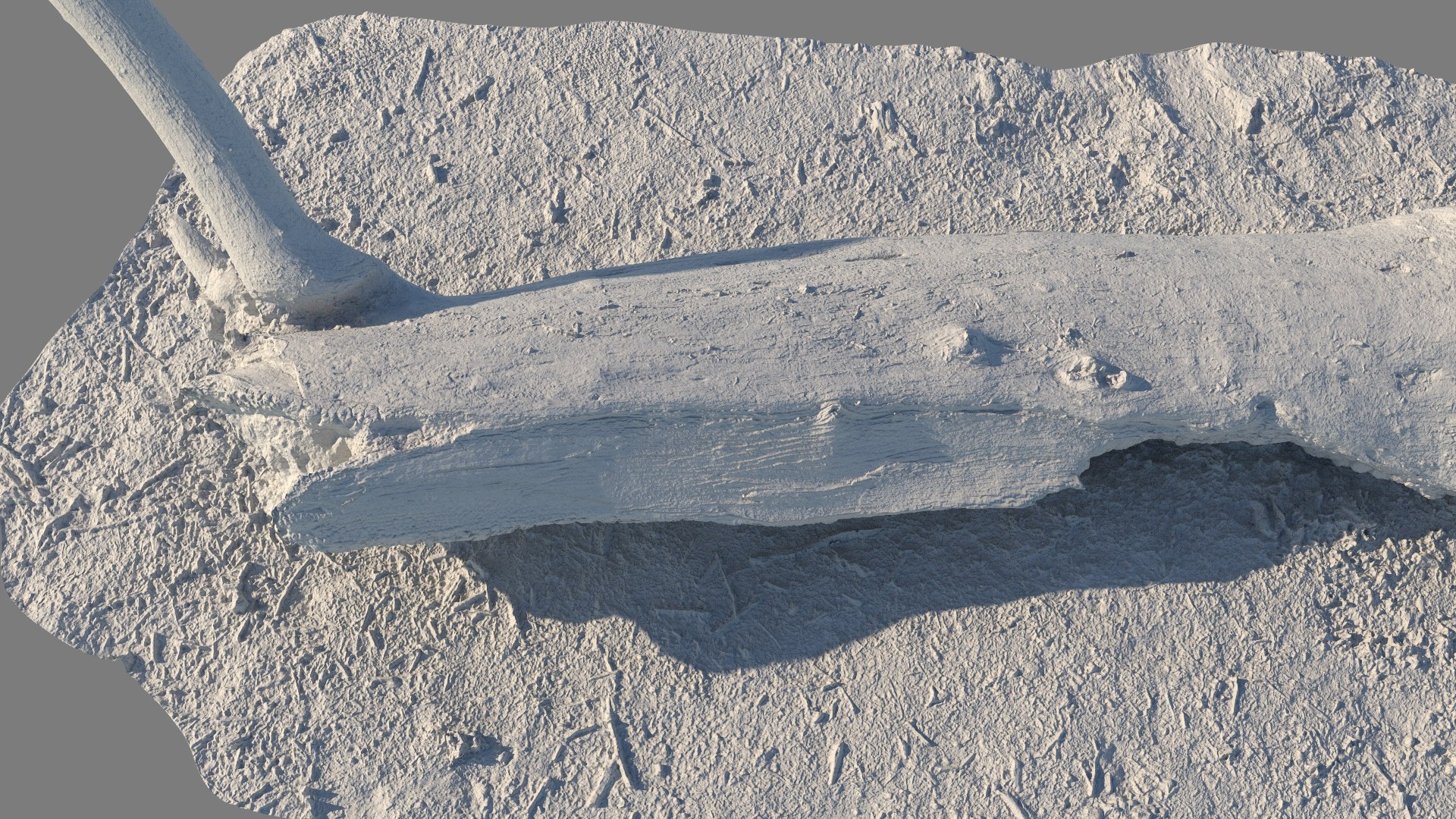 Scanned Dead Tree 3D - TurboSquid 2216709