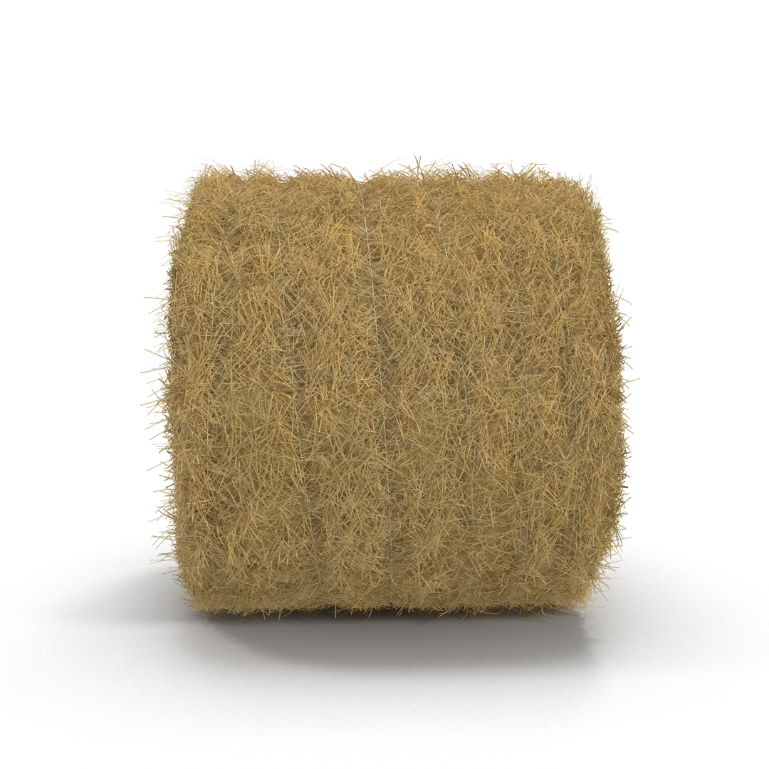 hay set modeled 3d max