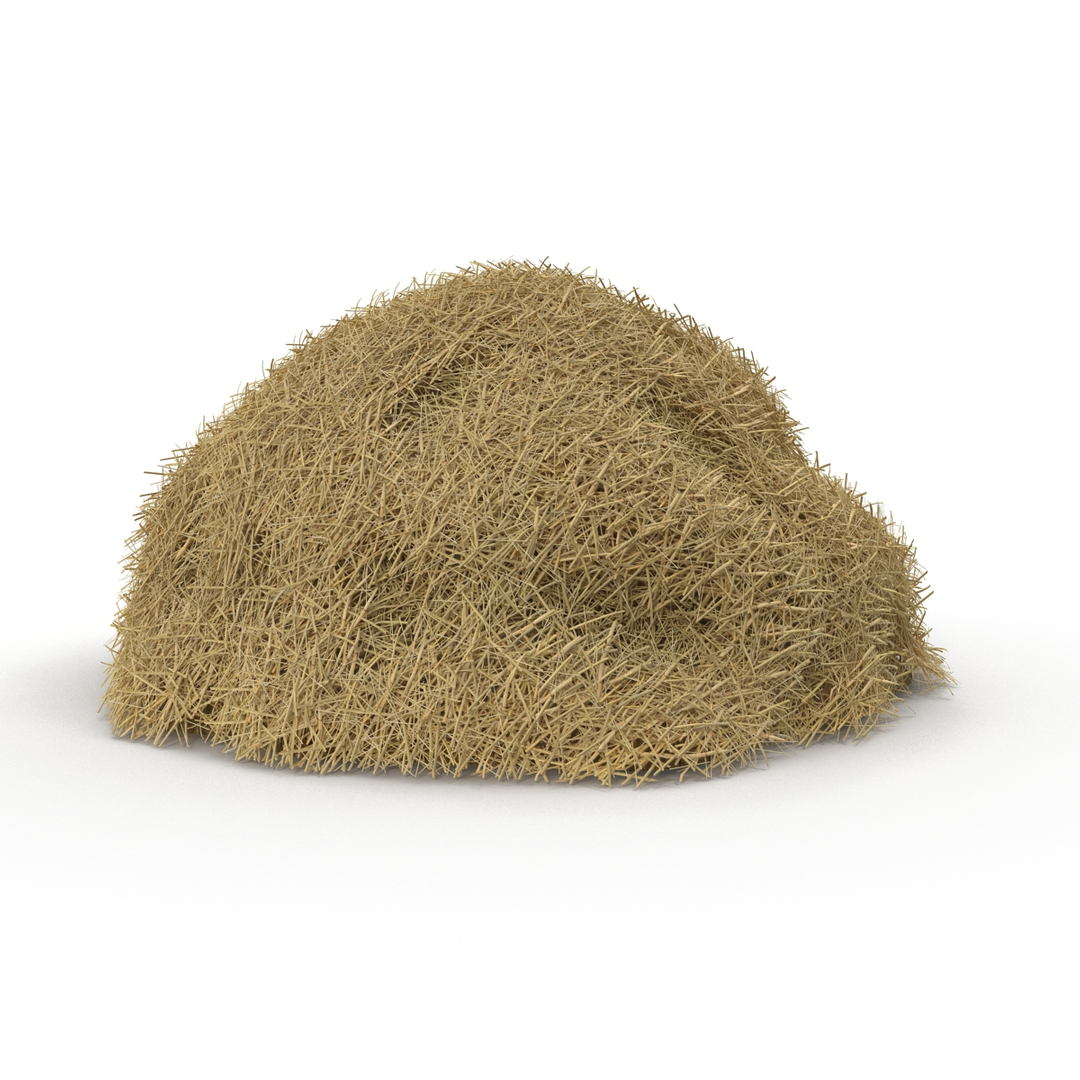 hay set modeled 3d max