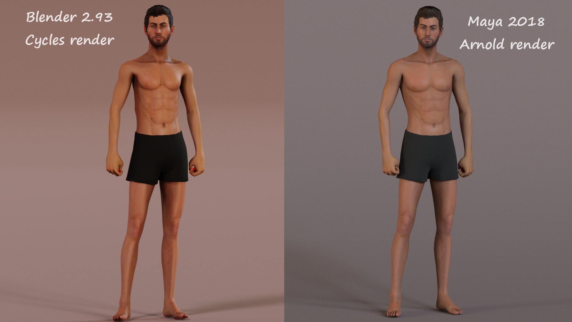 3D Male Base Rig Model - TurboSquid 1871404