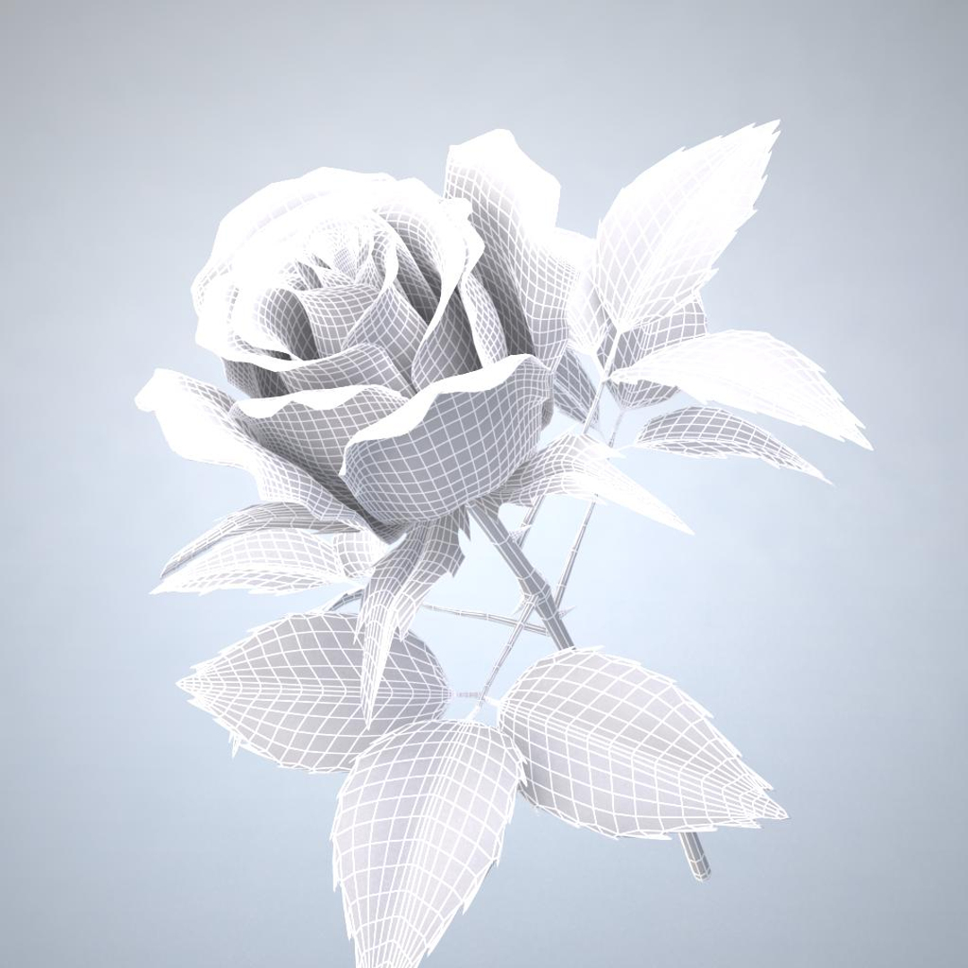 3d rose 5