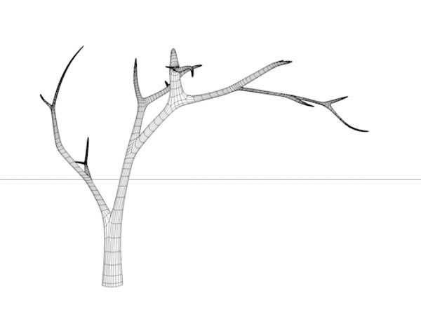 tree bald bare 3d model