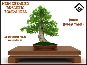 Free 3D Bonsai Models - Available For Download On TurboSquid