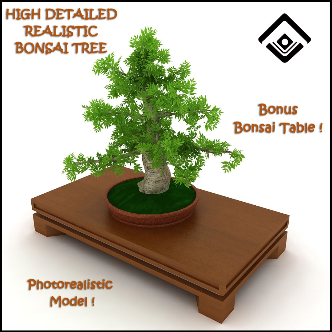 Free 3ds Model Potted Bonsai Tree Photorealistic