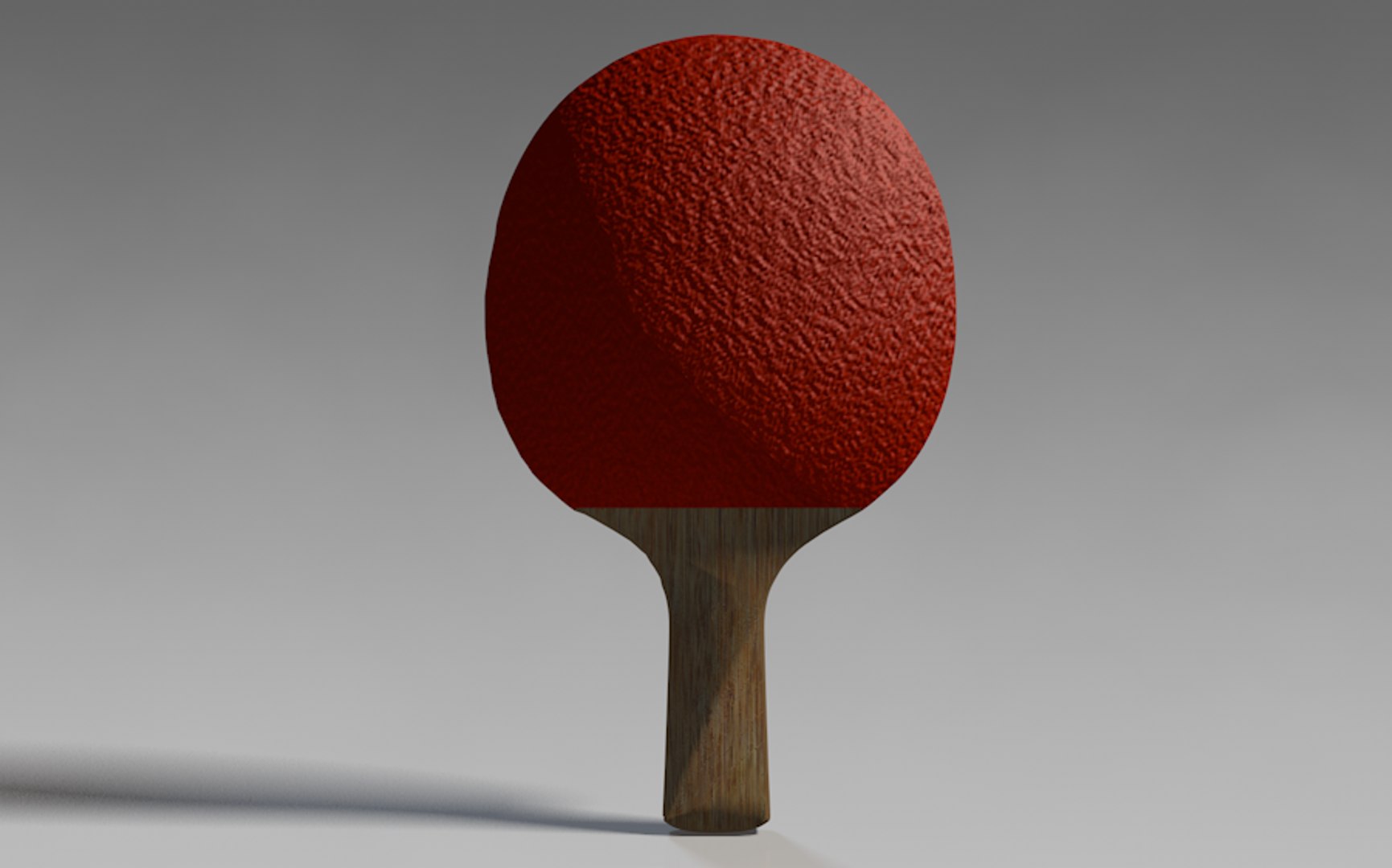 Ping Pong Paddle 3d Model